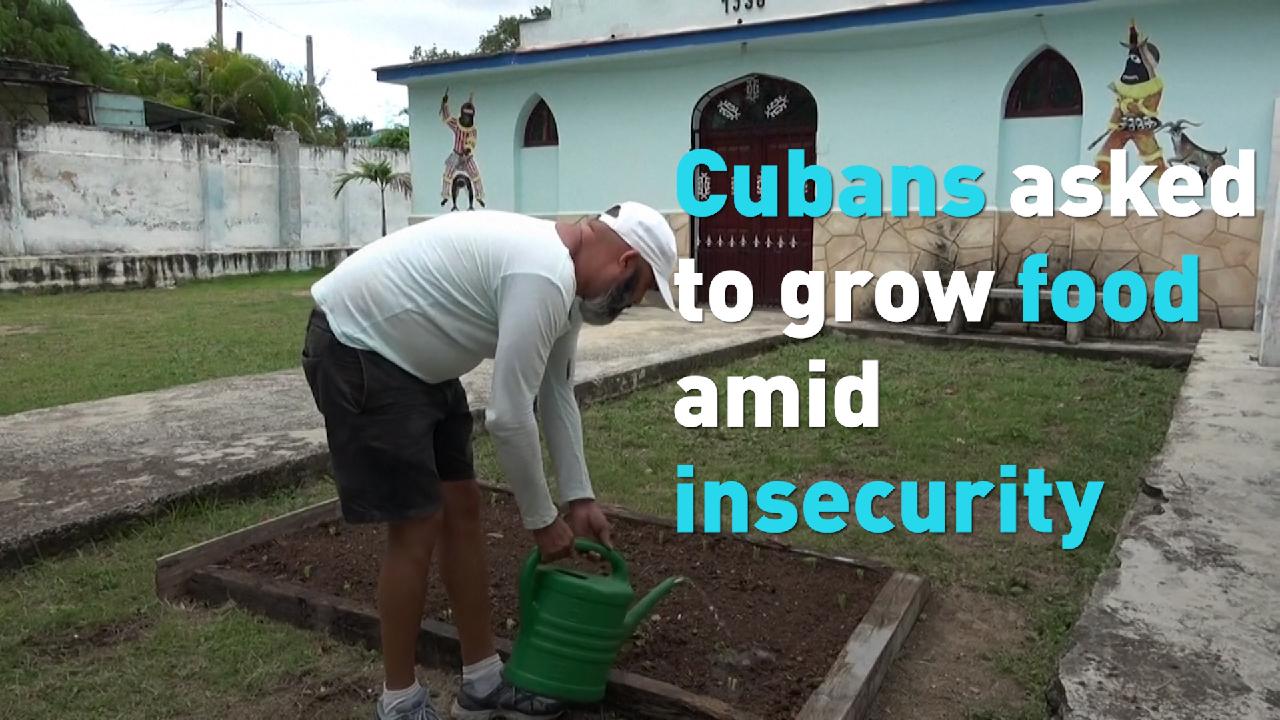 Cubans asked to grow food amid insecurity - CGTN