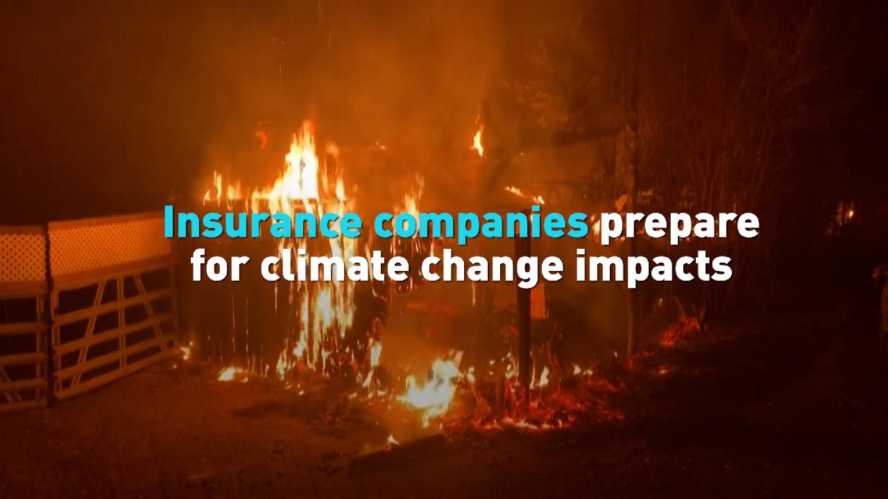 Insurance industry prepares for rising costs from climate change - CGTN
