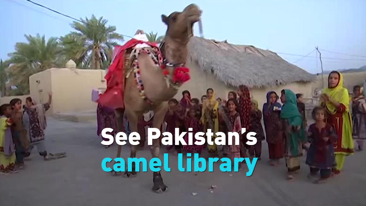 See the library that travels on camelback - CGTN