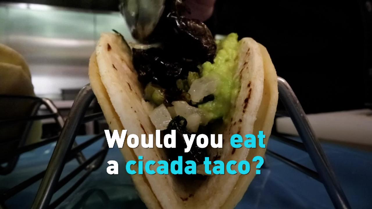 U.S. chef turns cicadas into tasty tacos - CGTN