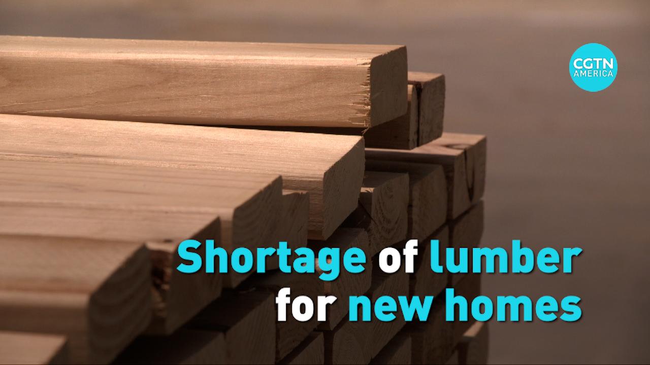 Lumber shortage worries U.S. homebuilders - CGTN