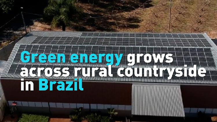 Green energy grows across rural countryside in Brazil - CGTN