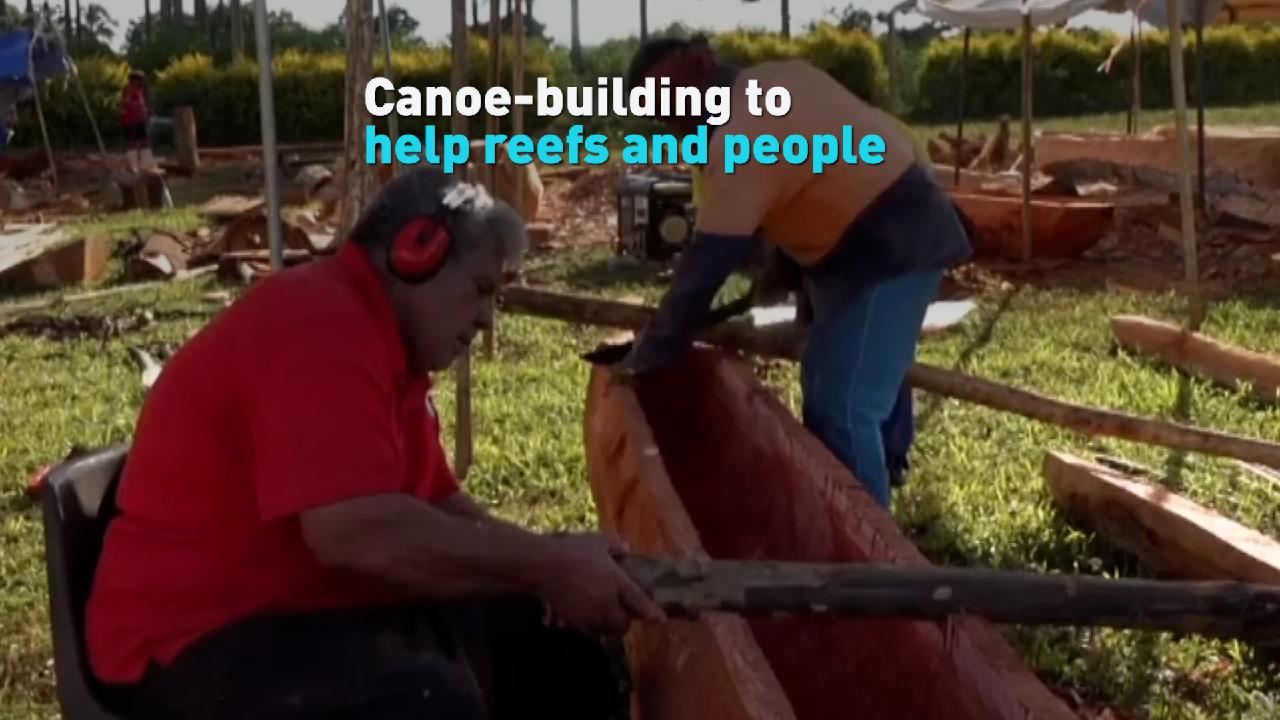 Canoe-building project helps people and reefs in Tonga - CGTN
