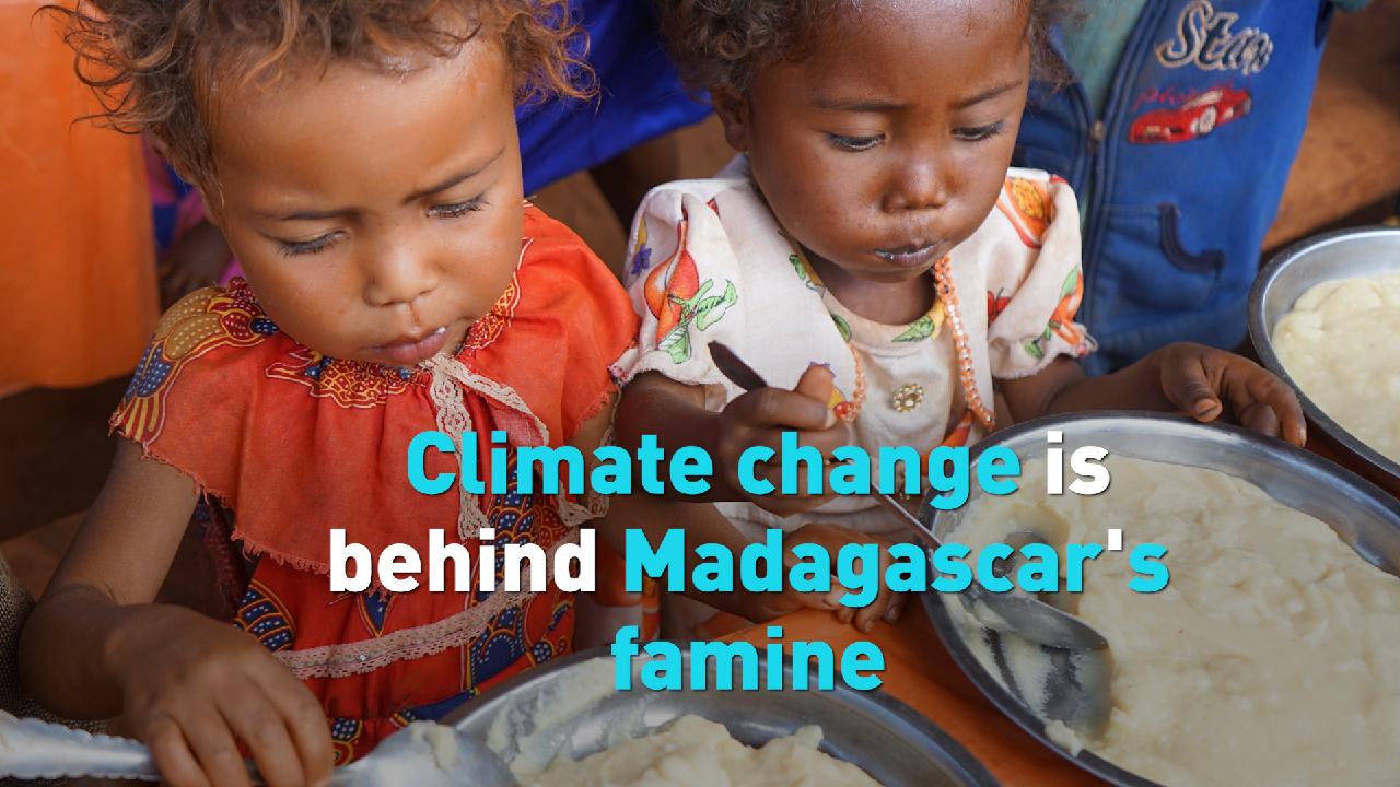 Madagascar facing disastrous “climate change famine” - CGTN