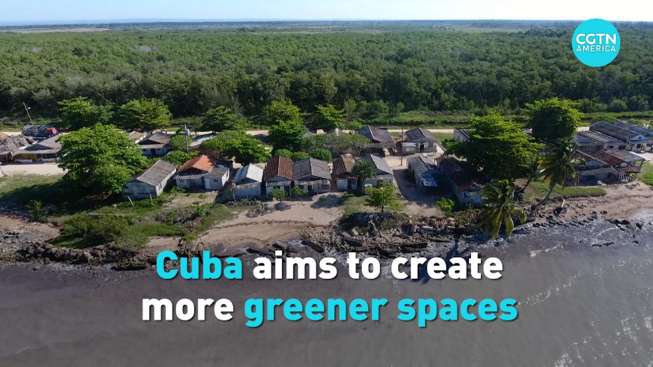 Cuba’s initiative to create greener spaces - CGTN