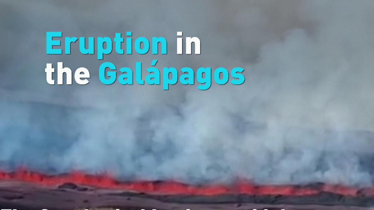 Tallest mountain in Galápagos Islands erupts - CGTN