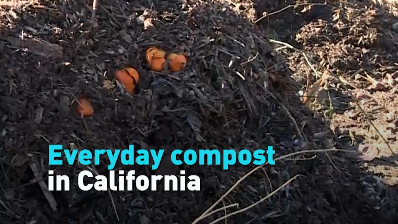 Everyday composting in California - CGTN