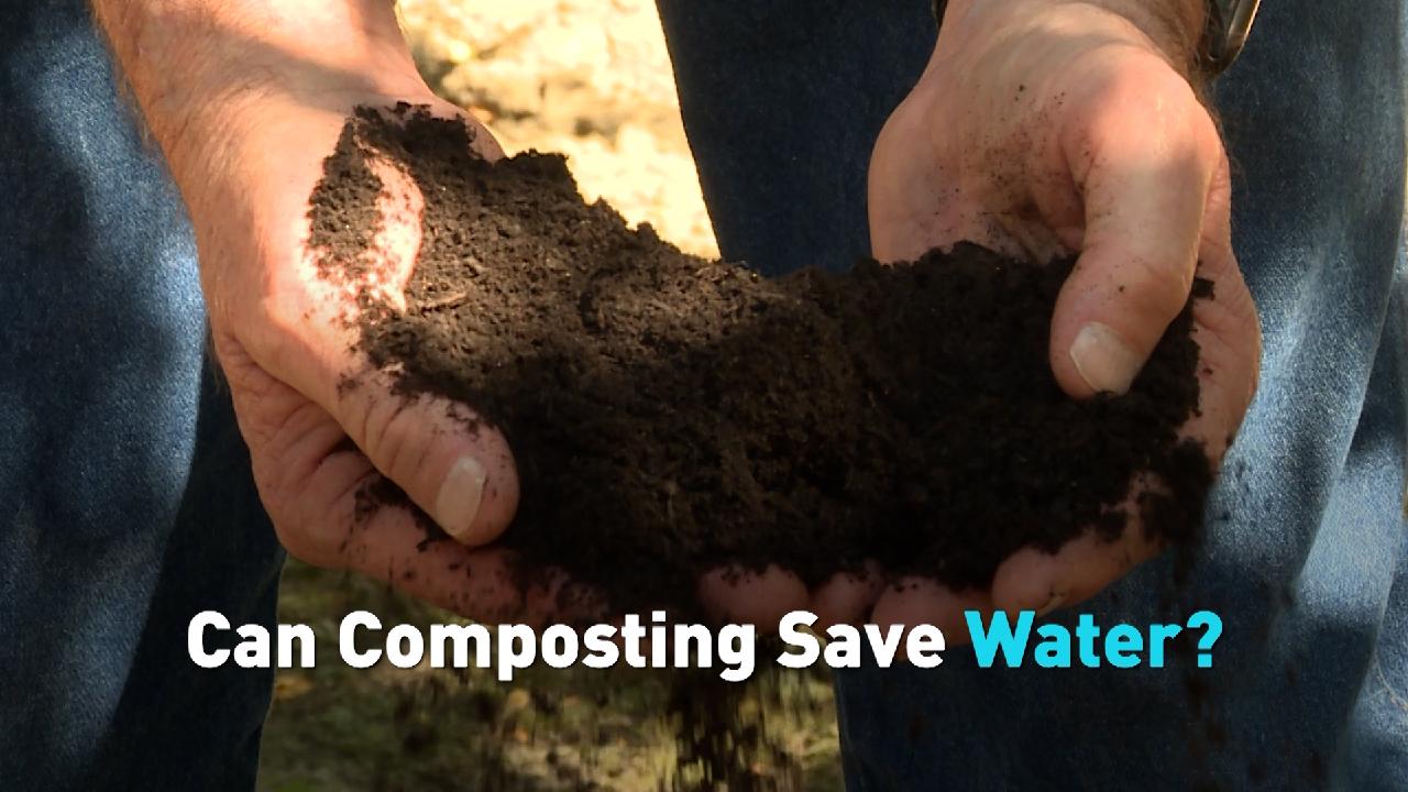 Some Californians compost food to help save water during drought - CGTN