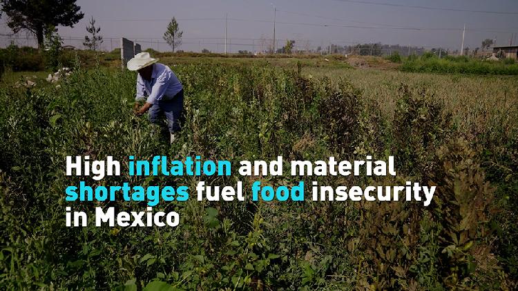 High inflation and material shortages fuel food insecurity in Mexico - CGTN