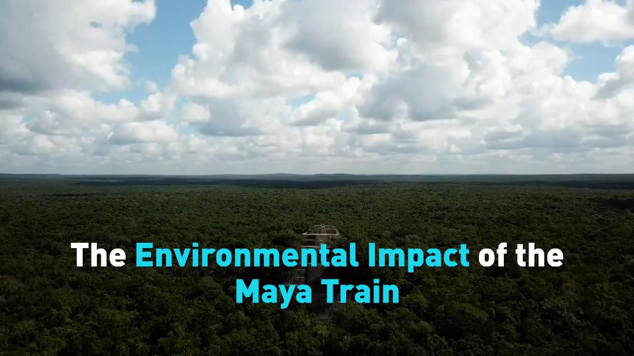 The Environmental Impact of the Maya Train - CGTN