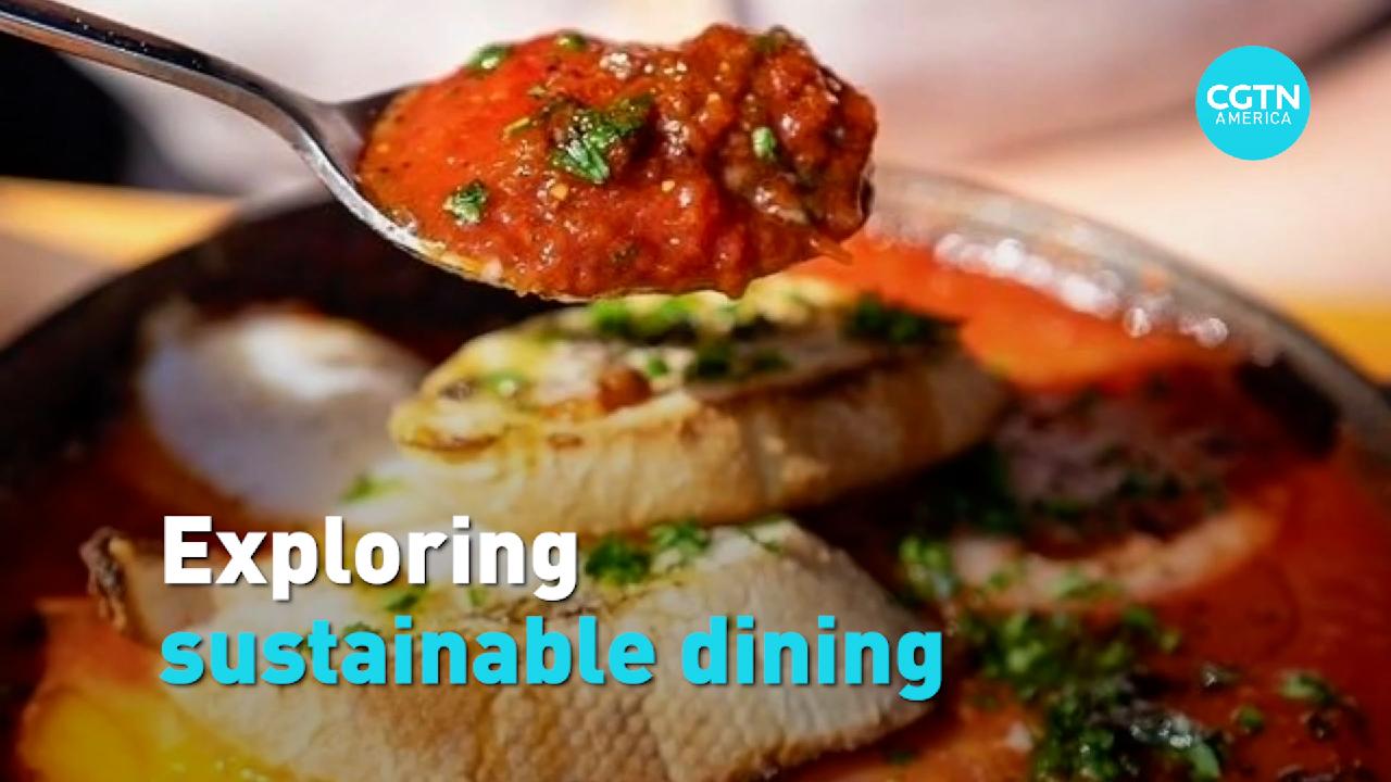 Exploring sustainable dining - CGTN