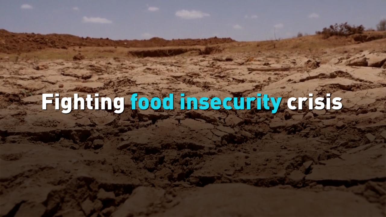 Fighting food insecurity crisis - CGTN