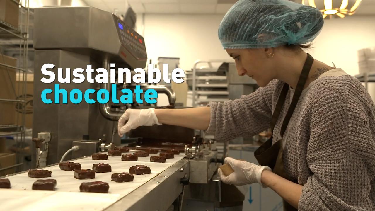 Making sustainable chocolate - CGTN