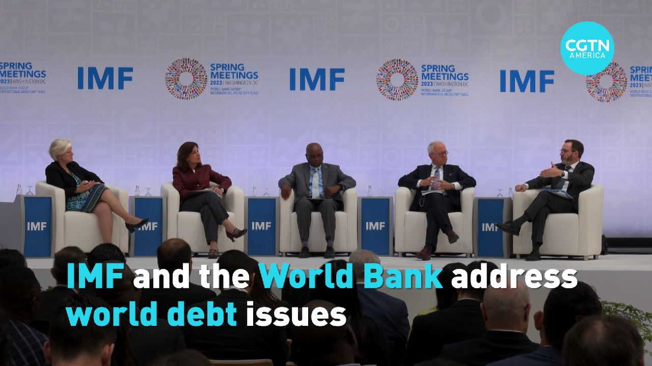 IMF and the World Bank address world debt issues - CGTN