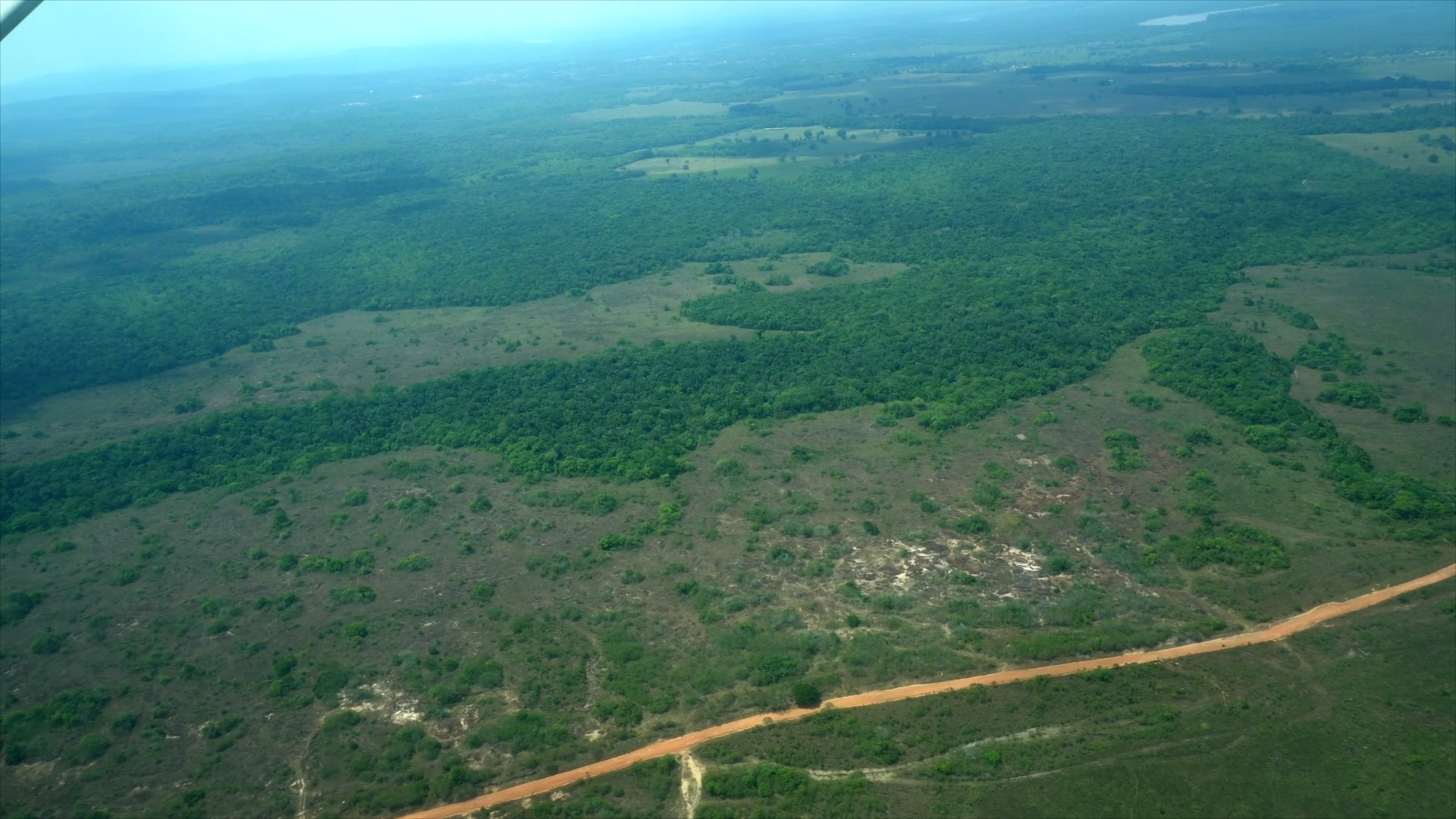 Colombia begins campaign to curb deforestation - CGTN