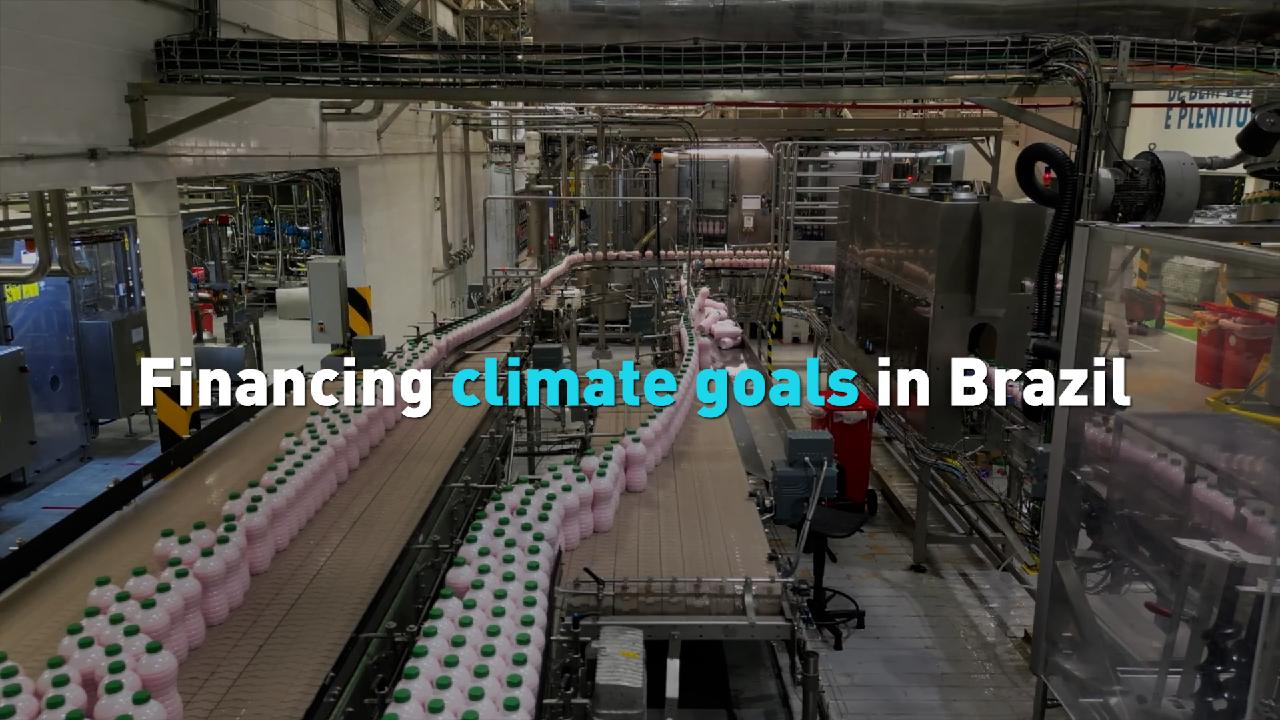Financing climate goals in Brazil - CGTN