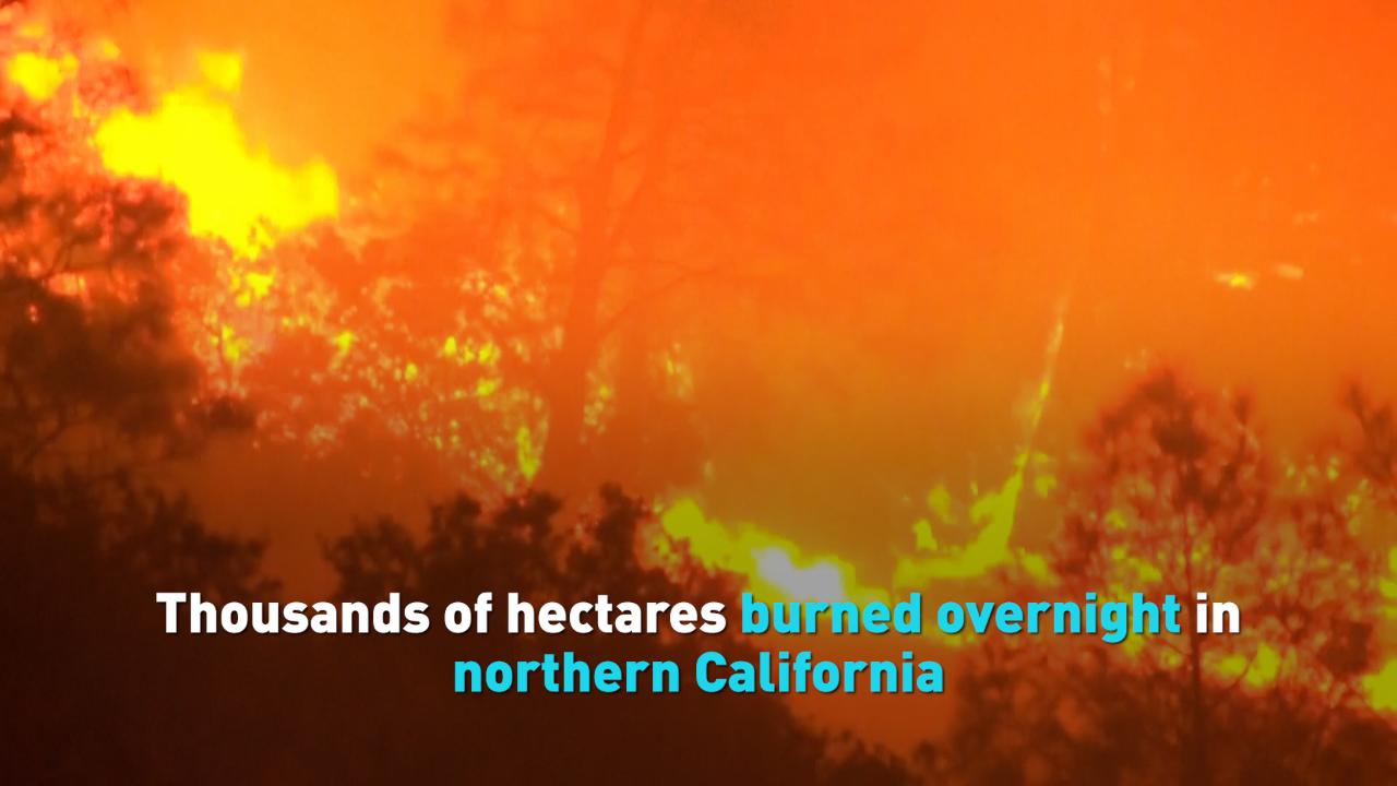 Thousands of hectares burned overnight in northern California - CGTN