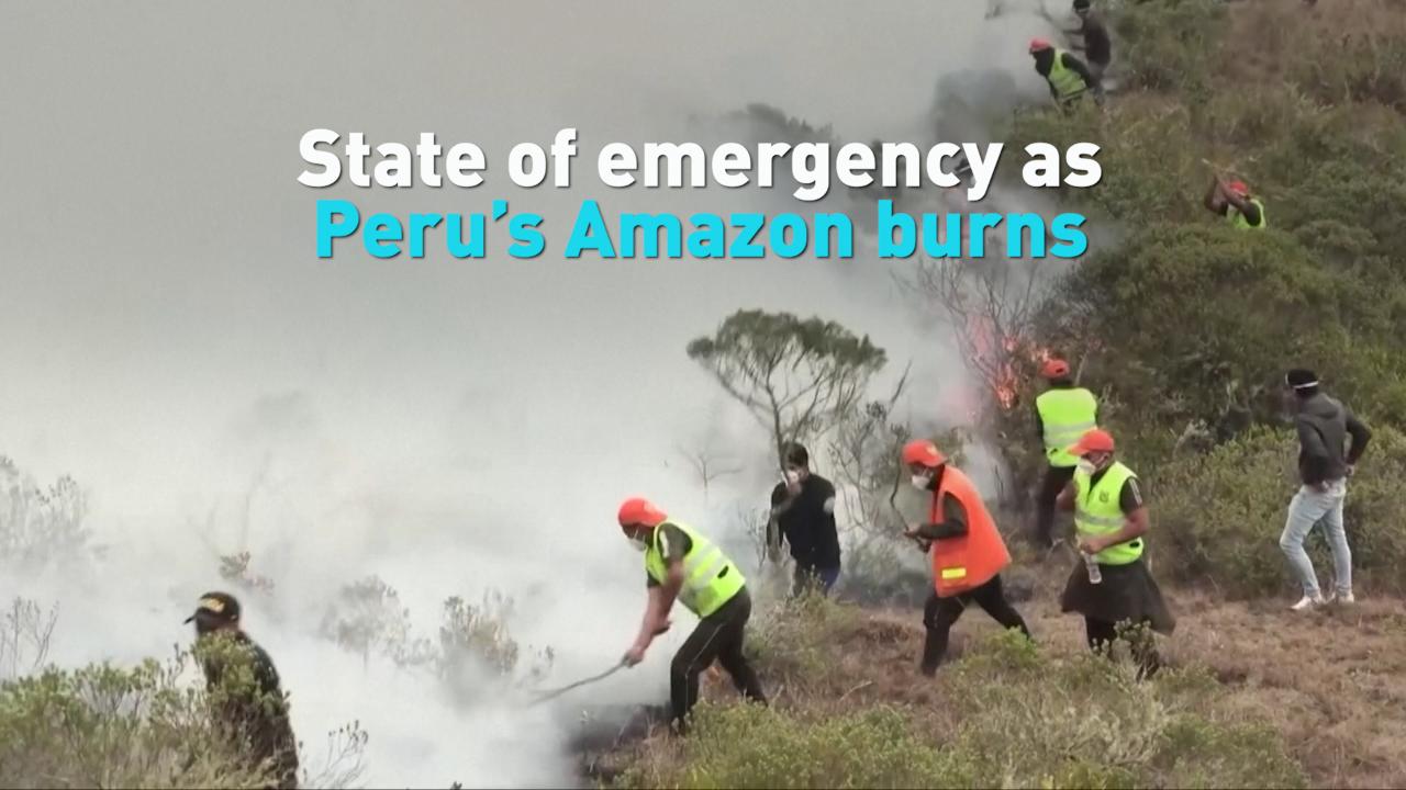 State of emergency as Peru's Amazon burns - CGTN
